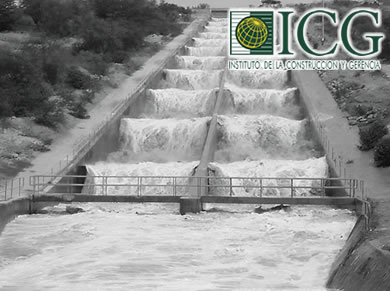 Artículo ICG