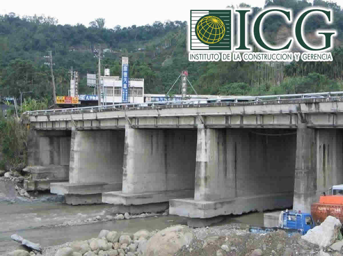 Artículo ICG